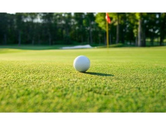 Robotic Lawn Mowers and More – Automated Outdoor Solutions